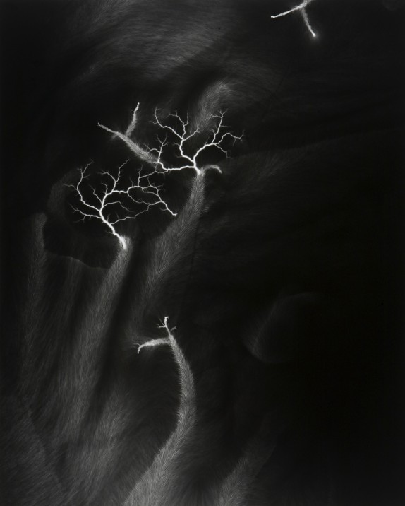 Hiroshi Sugimoto’s Electric Imagery - Dickerman Prints